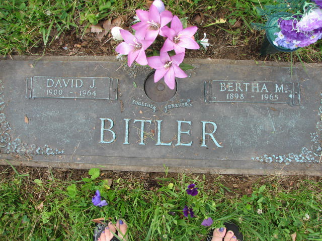 Descendants of Johannes Bitler - bit111.htm